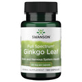ginkgo biloba supplement for memory