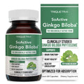 ginkgo biloba supplement for memory