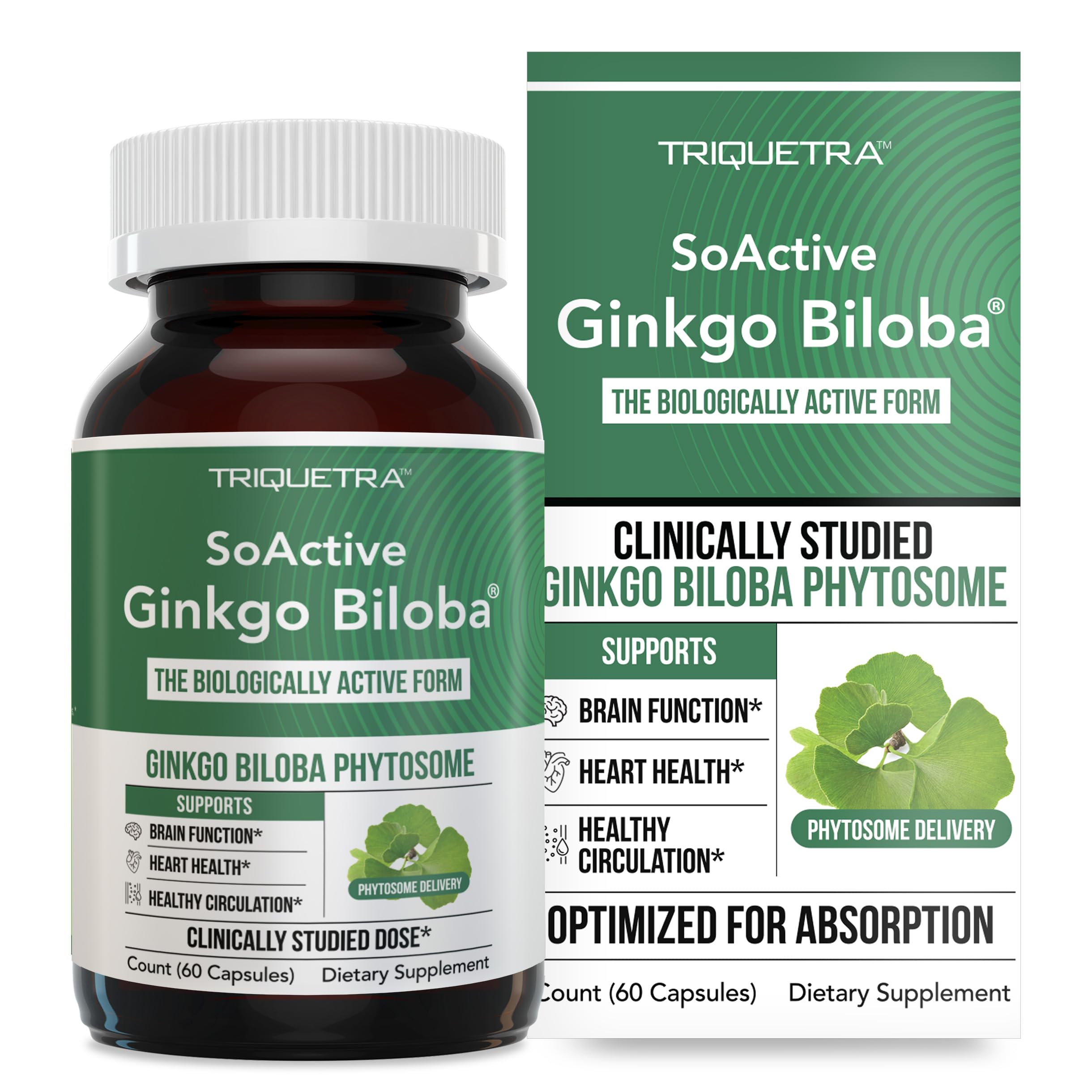 ginkgo biloba supplement for memory