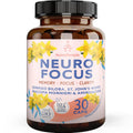 ginkgo biloba supplement for memory