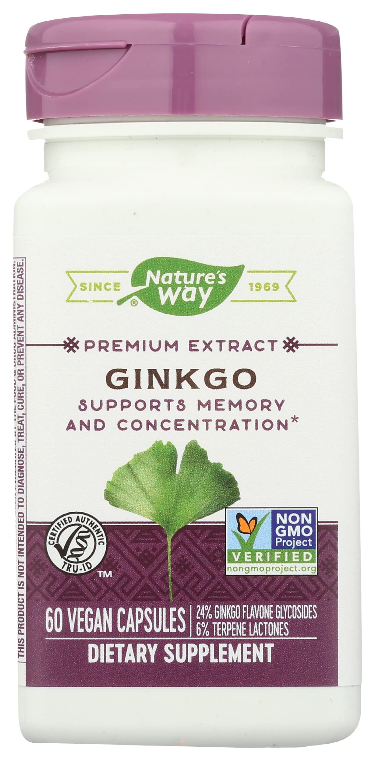 ginkgo biloba supplement for memory