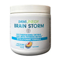 ginkgo biloba supplement for memory