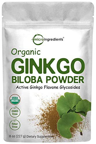 ginkgo biloba supplement for memory