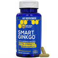 Ginkgo biloba supplement for memory