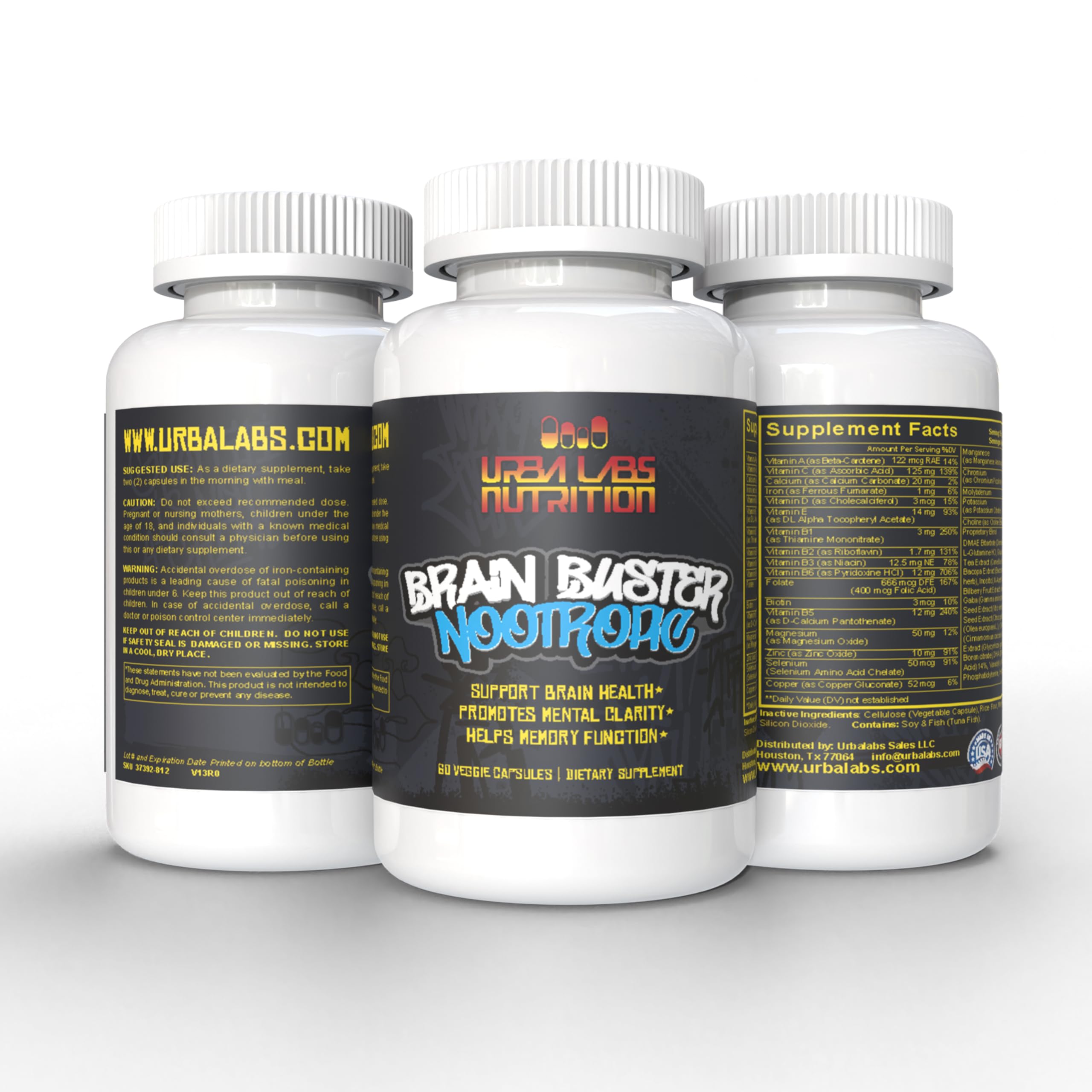 ginkgo biloba supplement for memory