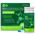 ginkgo biloba supplement for memory