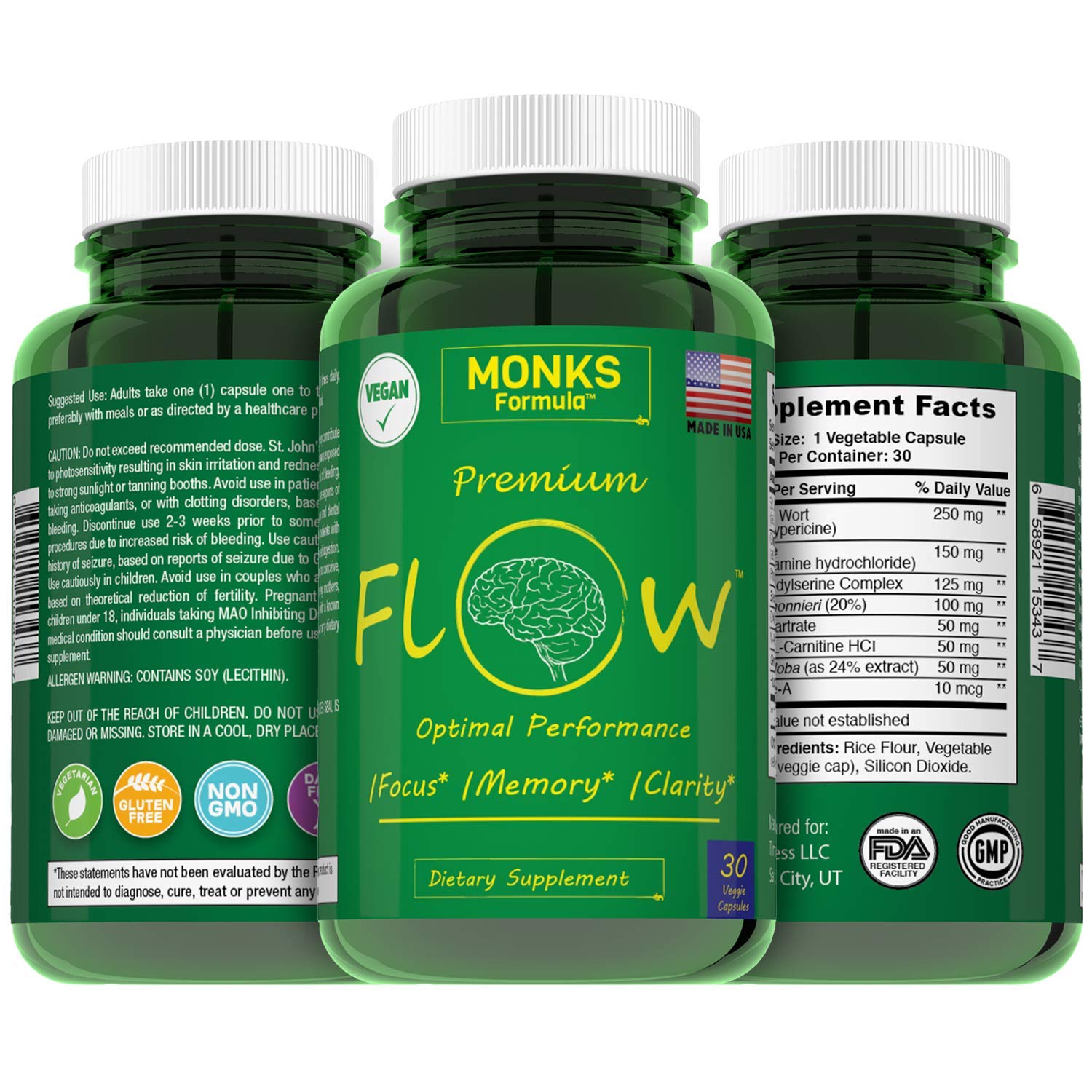 ginkgo biloba supplement for memory