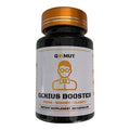 ginkgo biloba supplement for memory