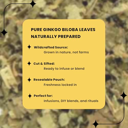 ginkgo biloba supplement for memory