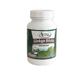 ginkgo biloba supplement for memory