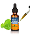 ginkgo biloba supplement for memory