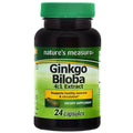 ginkgo biloba supplement for memory