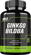 ginkgo biloba supplement for memory
