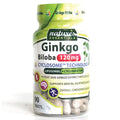 ginkgo biloba supplement for memory