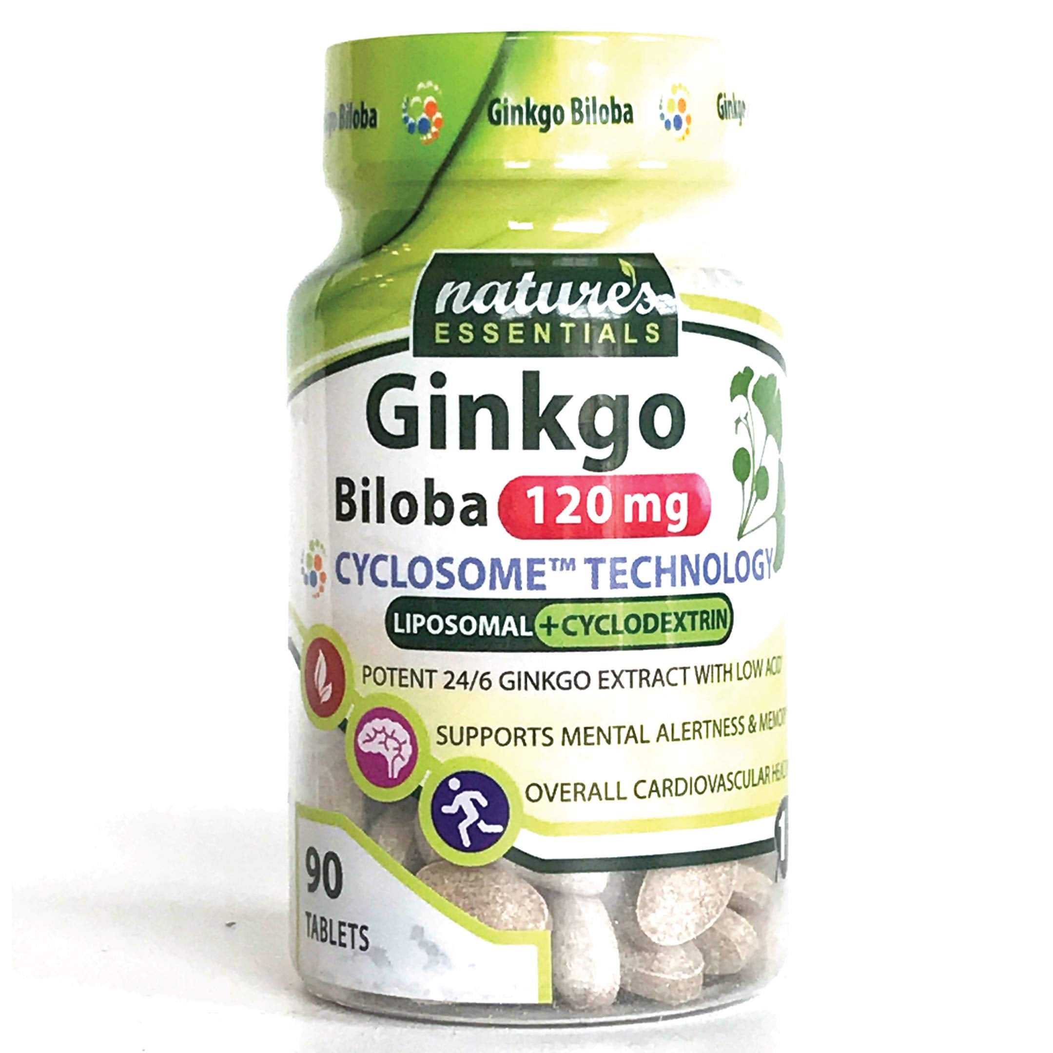 ginkgo biloba supplement for memory