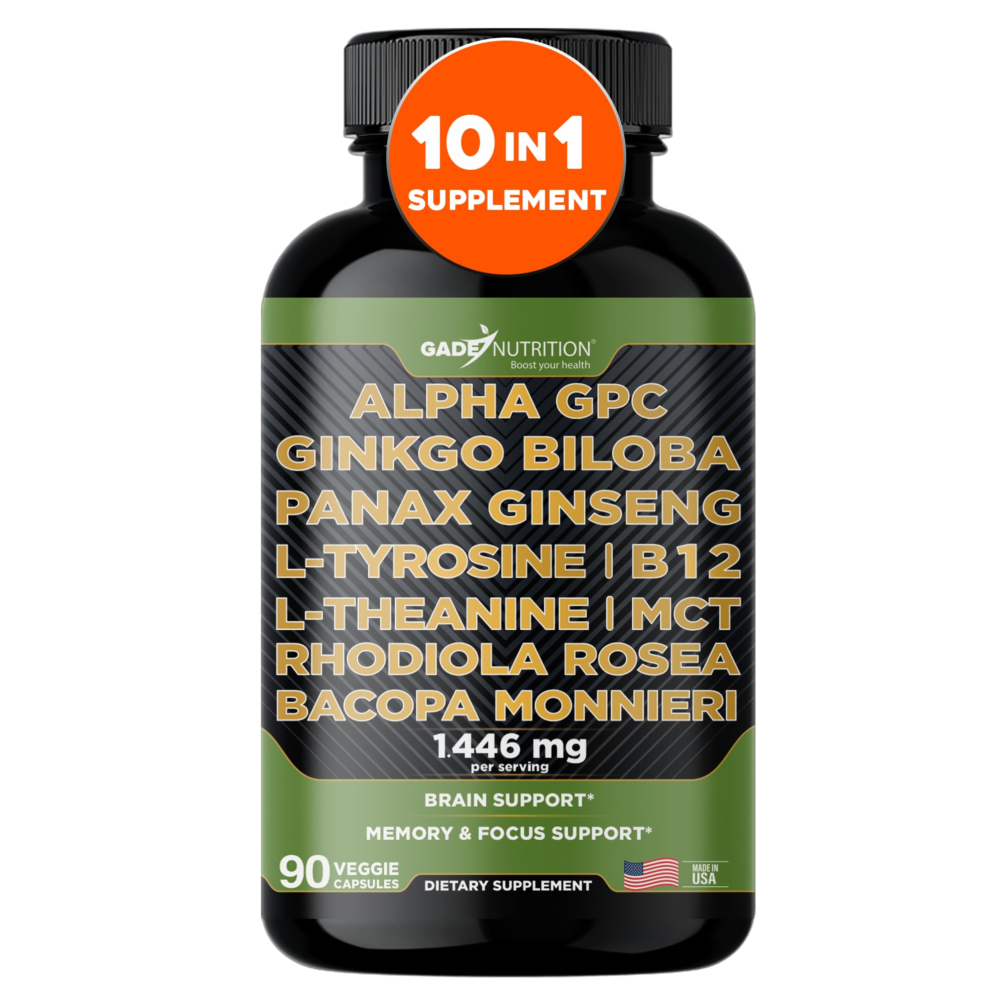 ginkgo biloba supplement for memory