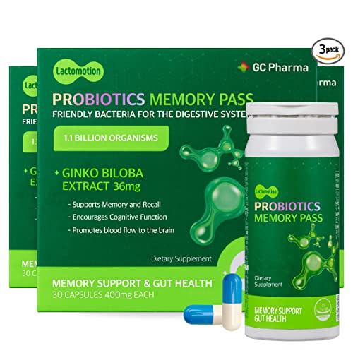 ginkgo biloba supplement for memory