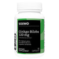 ginkgo biloba supplement for memory