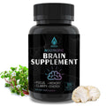 ginkgo biloba supplement for memory