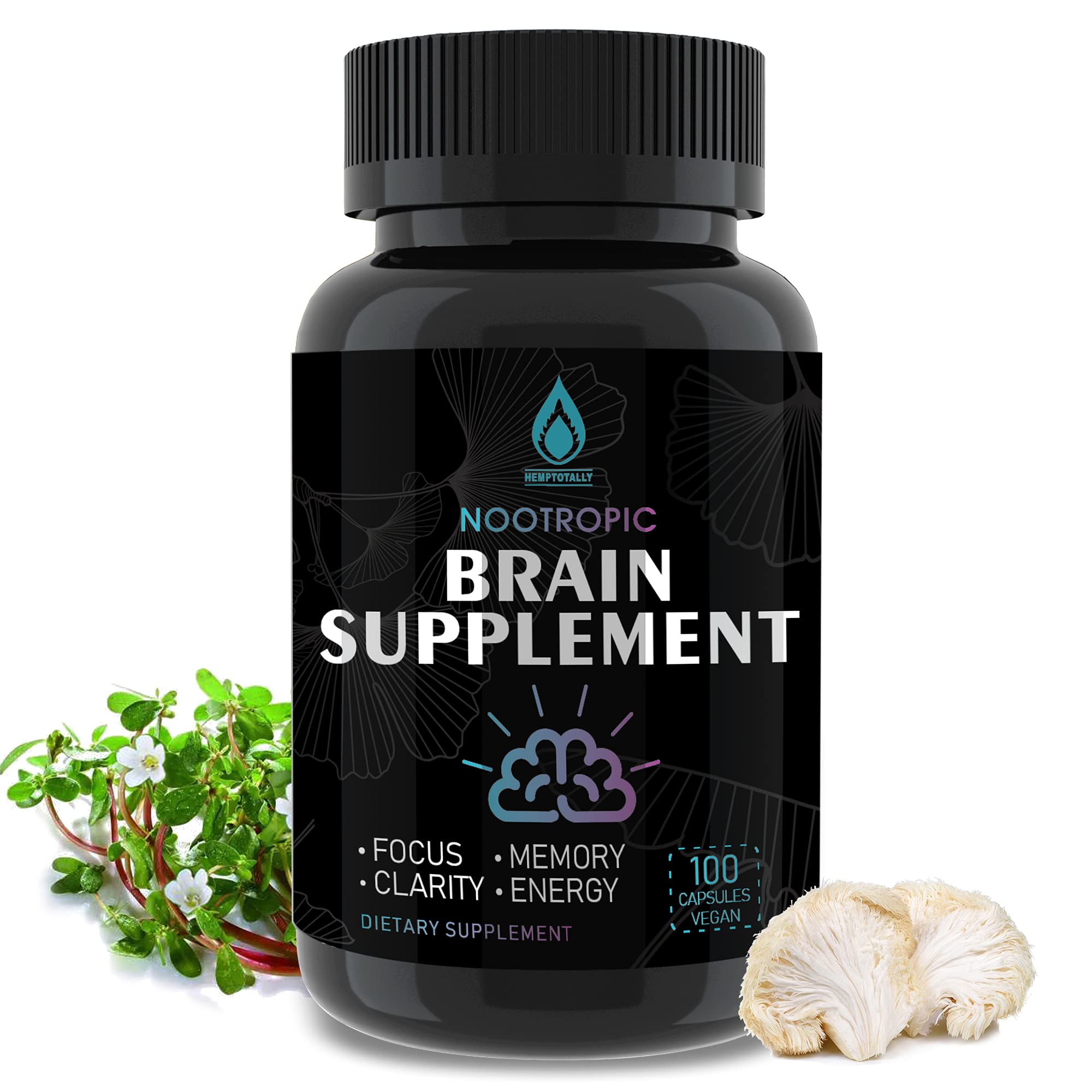 ginkgo biloba supplement for memory