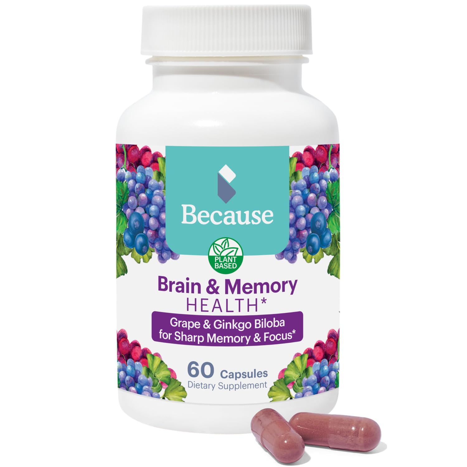 ginkgo biloba supplement for memory