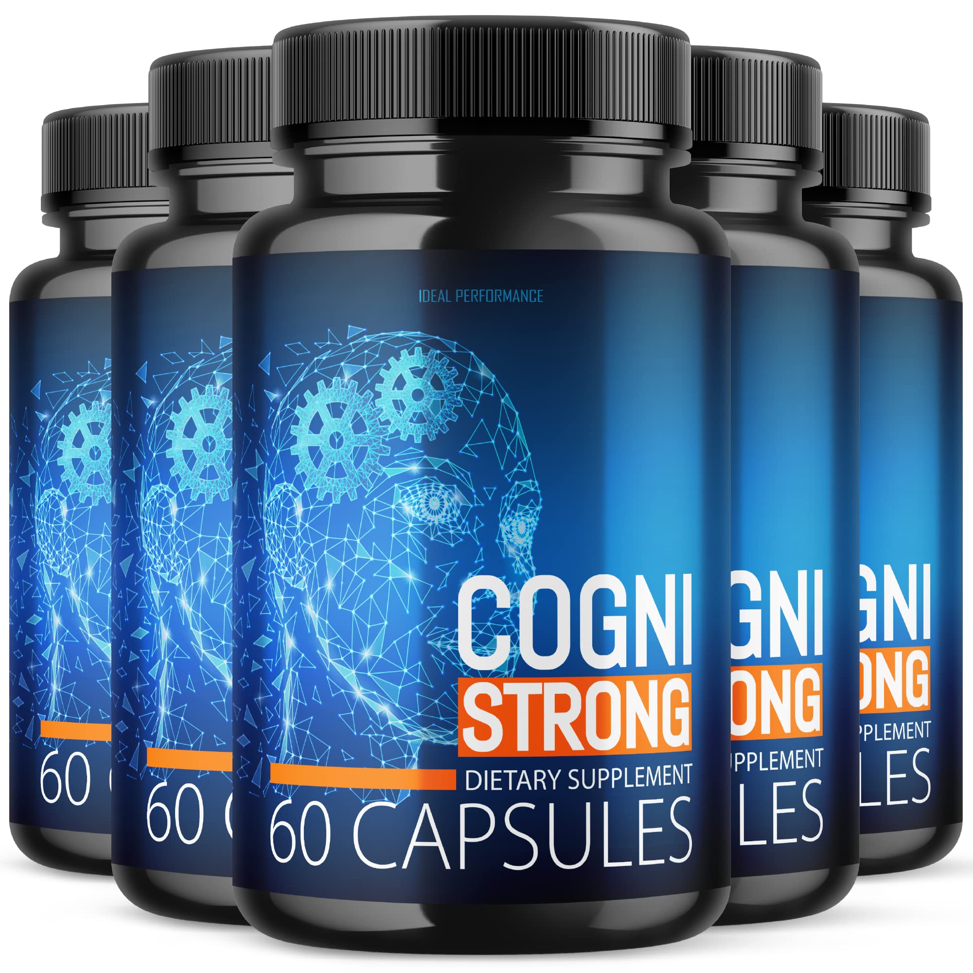 ginkgo biloba supplement for memory