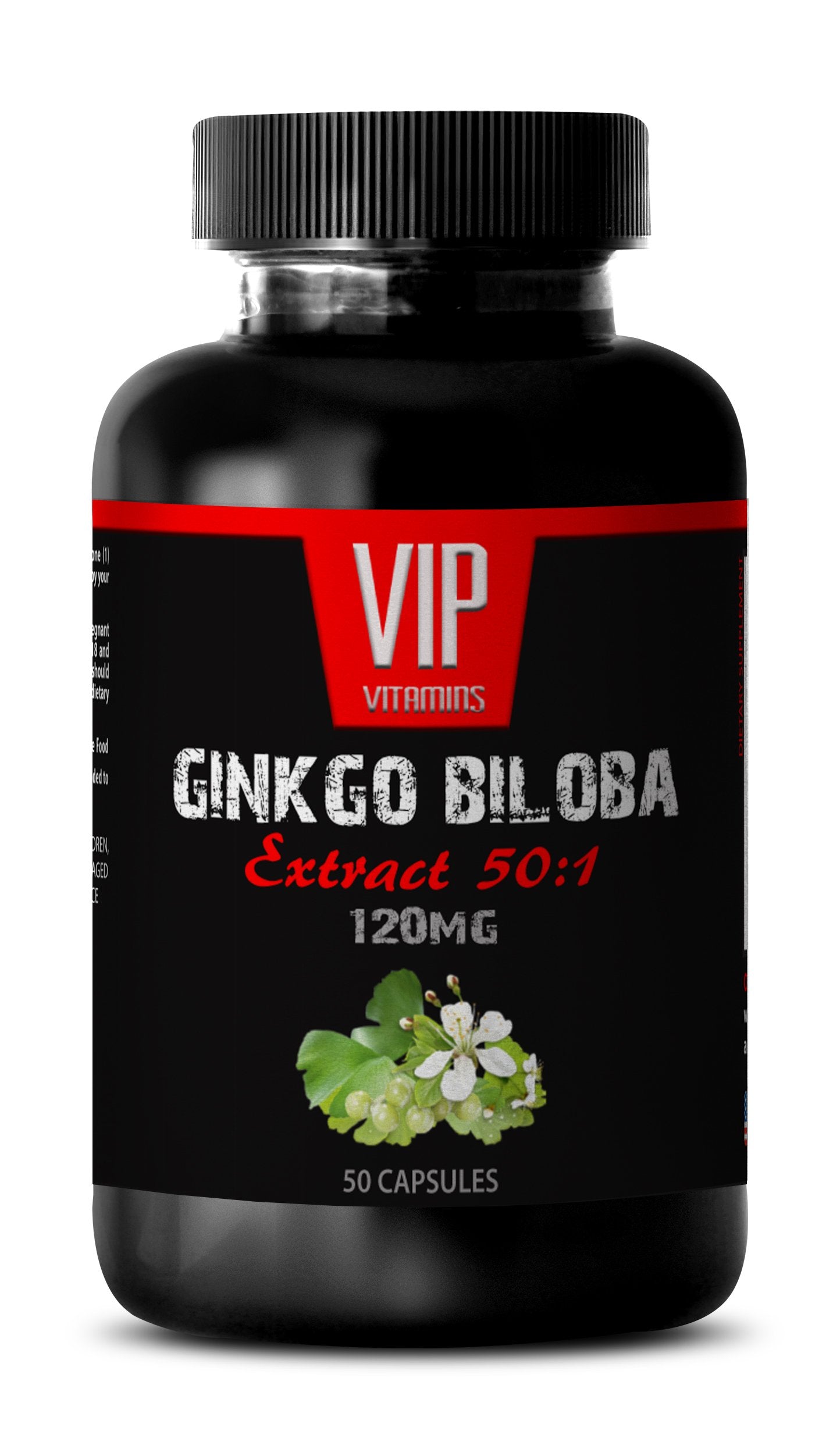 ginkgo biloba supplement for memory