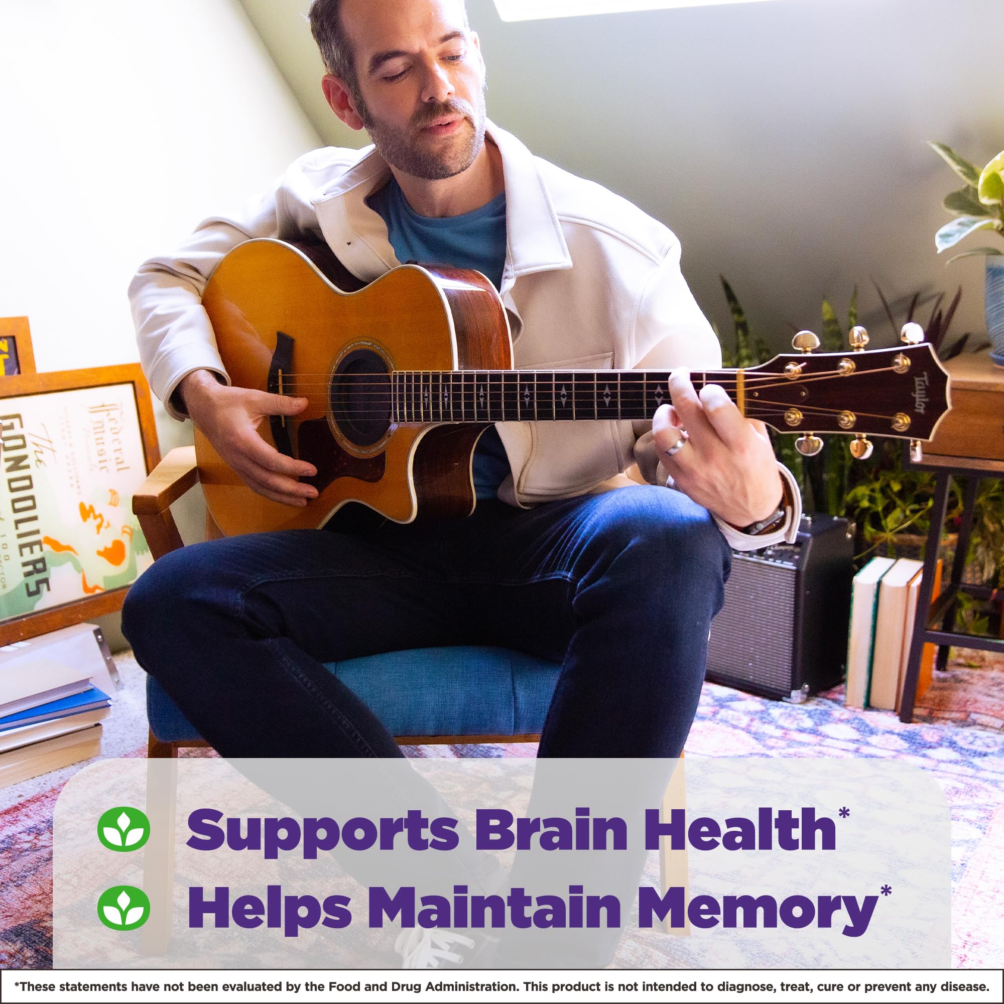 ginkgo biloba supplement for mental clarity