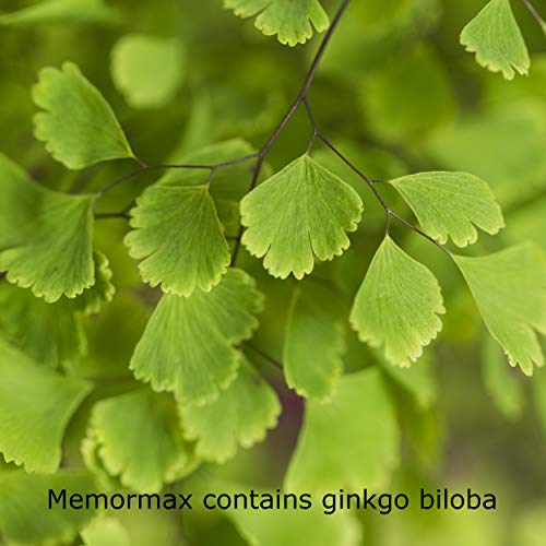 Ginkgo biloba supplement for mental performance
