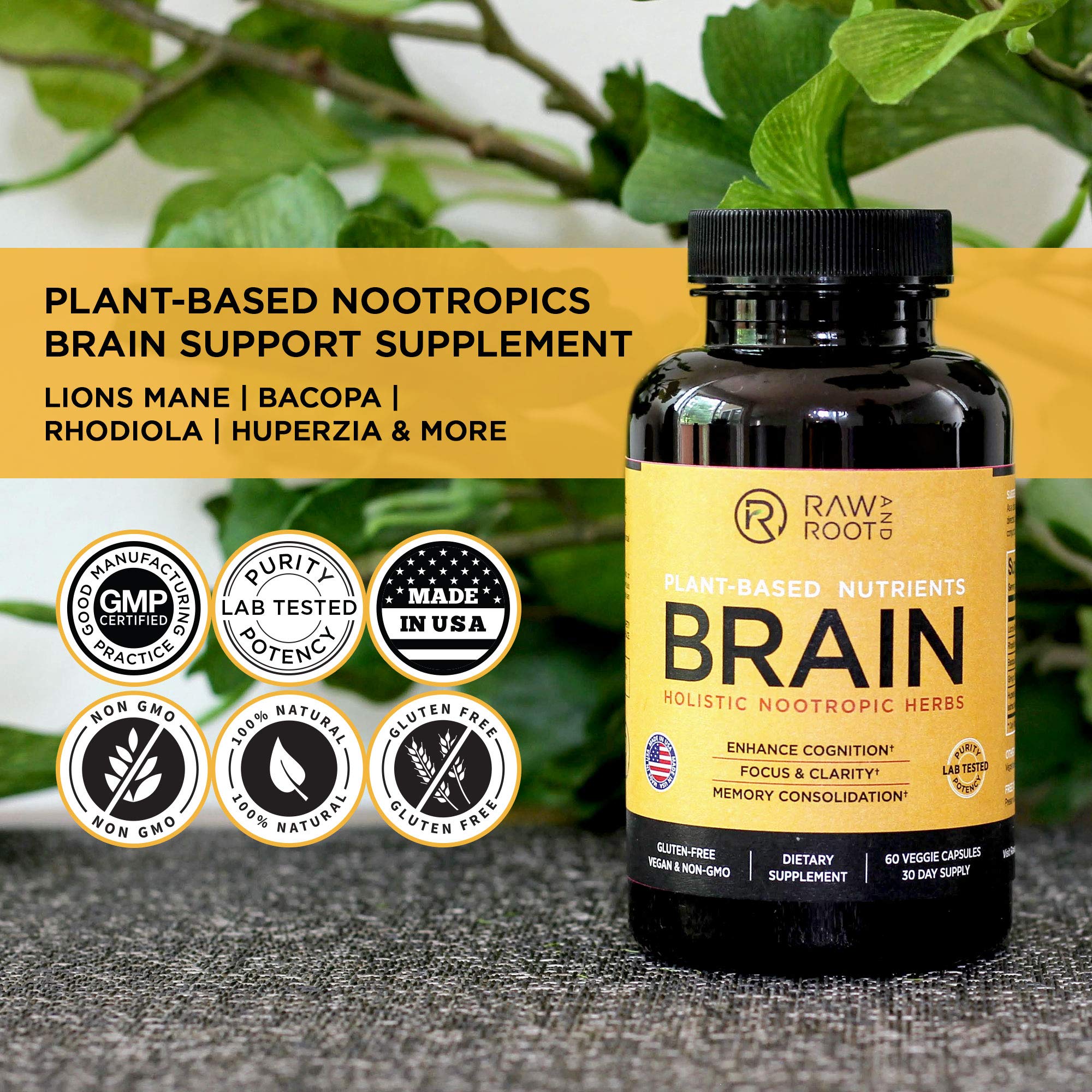 Ginkgo Biloba supplement for overall wellness