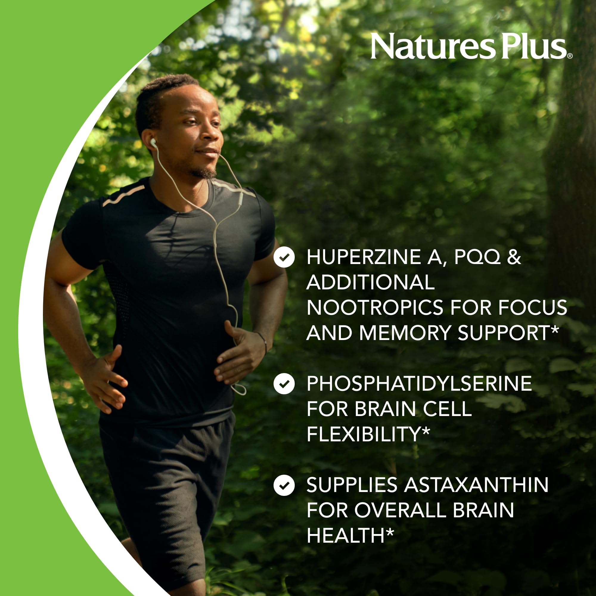 ginkgo biloba supplement for tinnitus relief