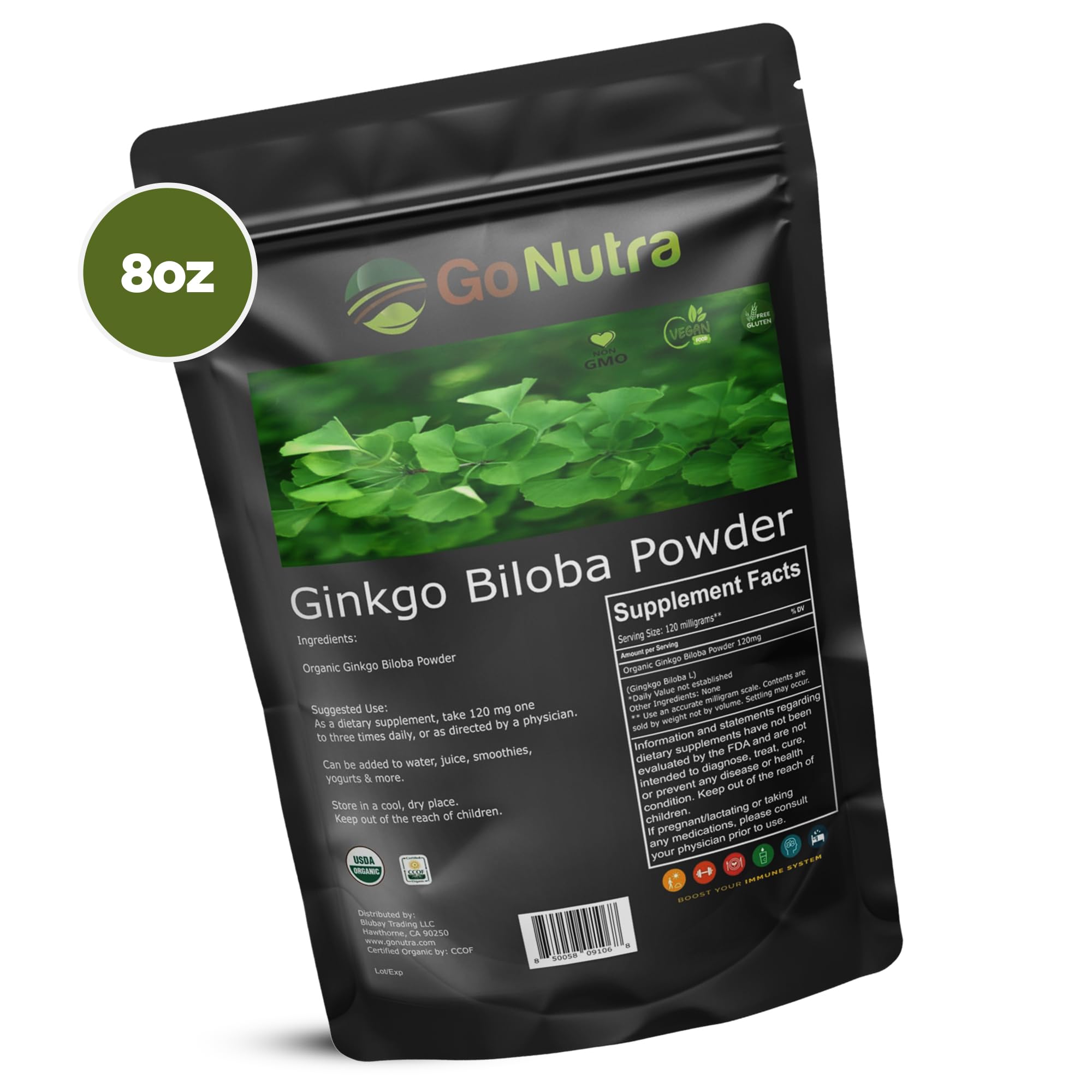 ginkgo biloba supplement for tinnitus