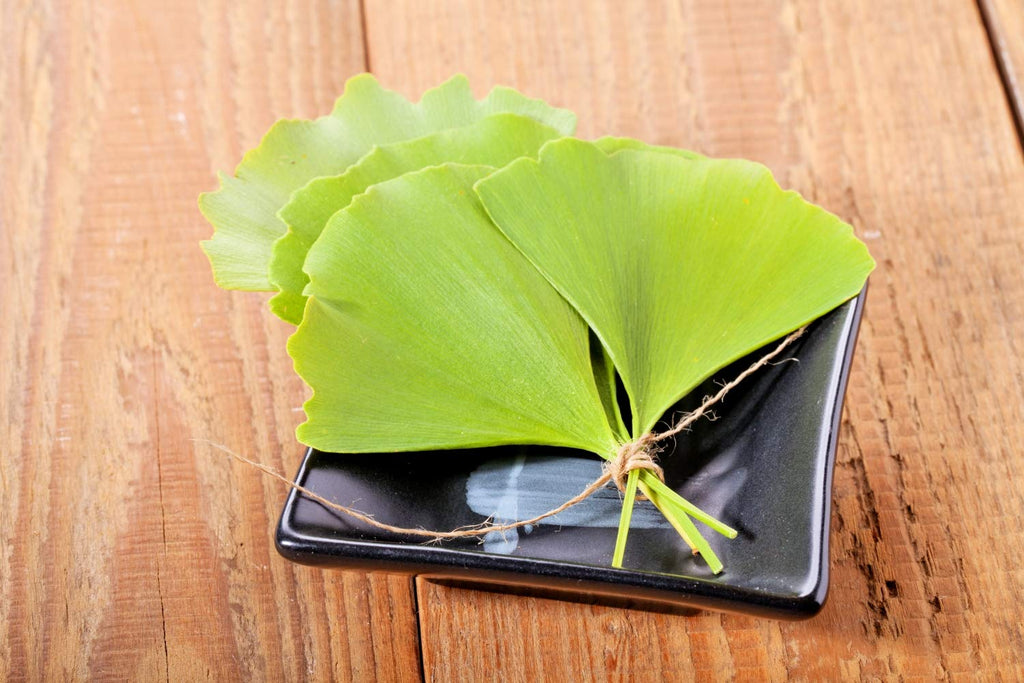 ginkgo biloba supplement for vitality
