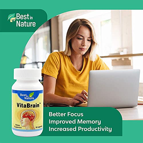 Ginkgo biloba support for brain function