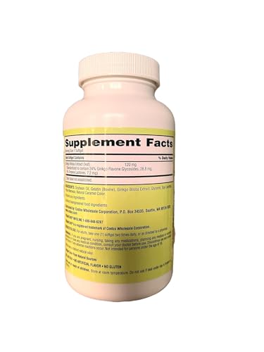 ginkgo biloba tablet for cognitive support