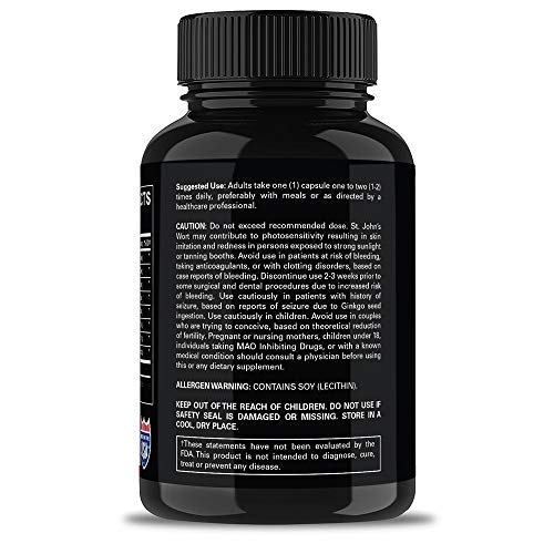 ginkgo biloba tablet for cognitive support