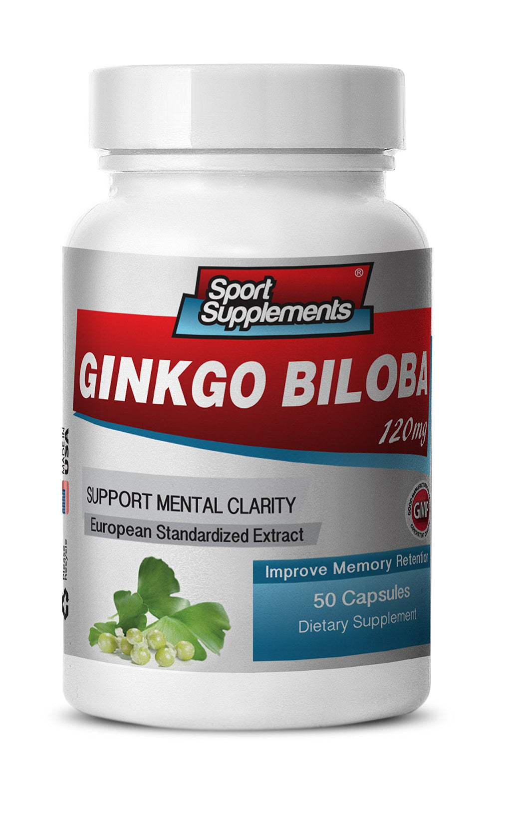 ginkgo biloba tablet for memory support