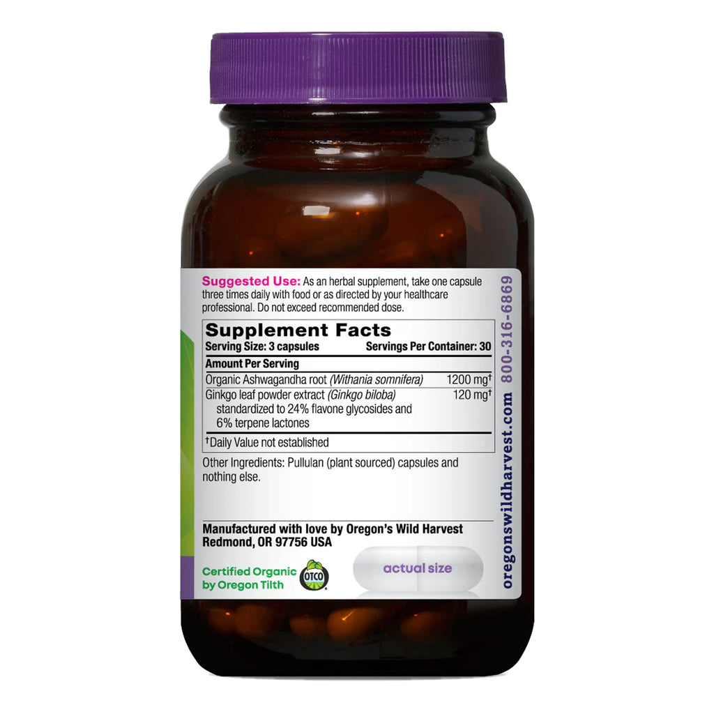 ginkgo biloba tablet for stress relief