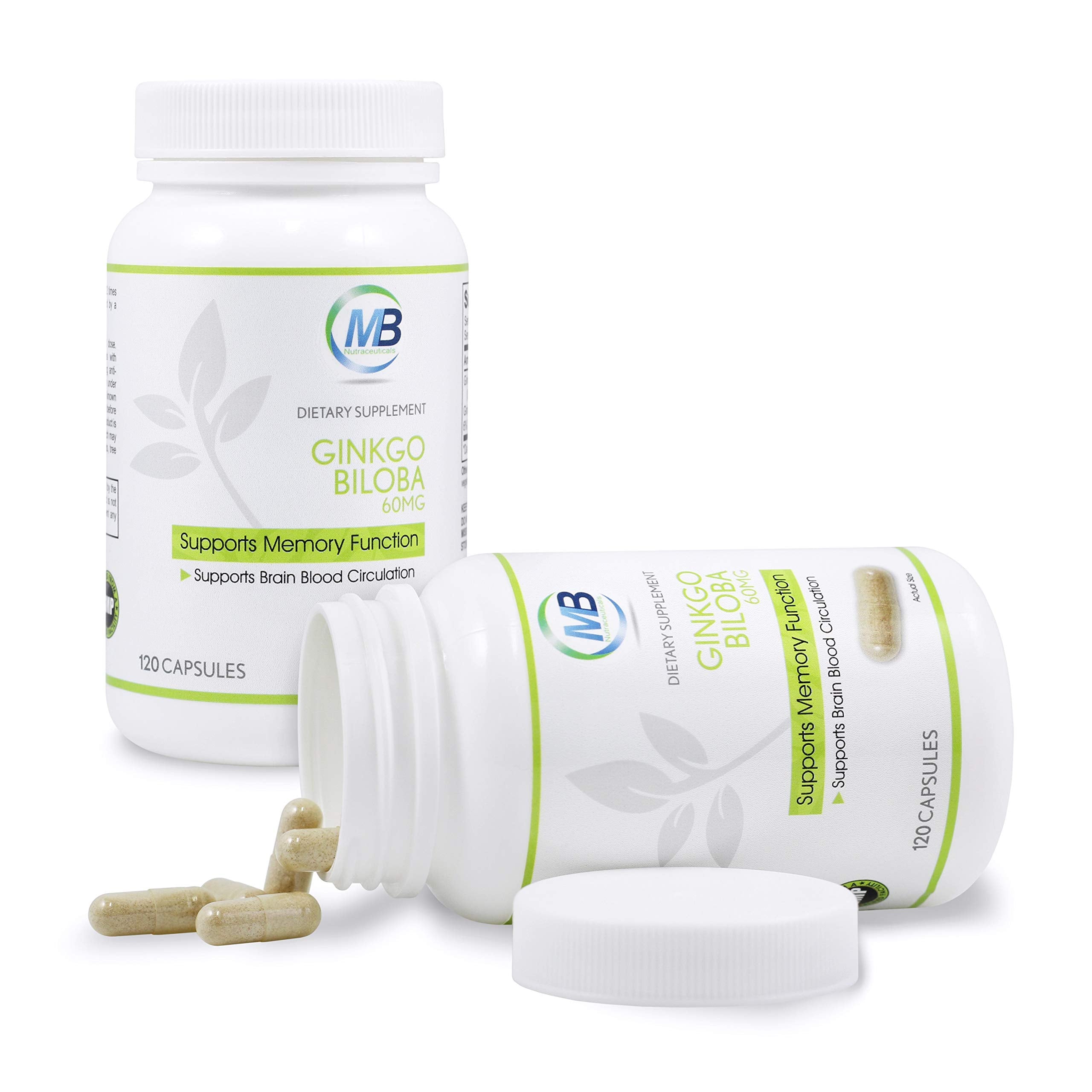 ginkgo biloba tablets for brain health