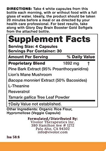 ginkgo biloba tablets for brain health
