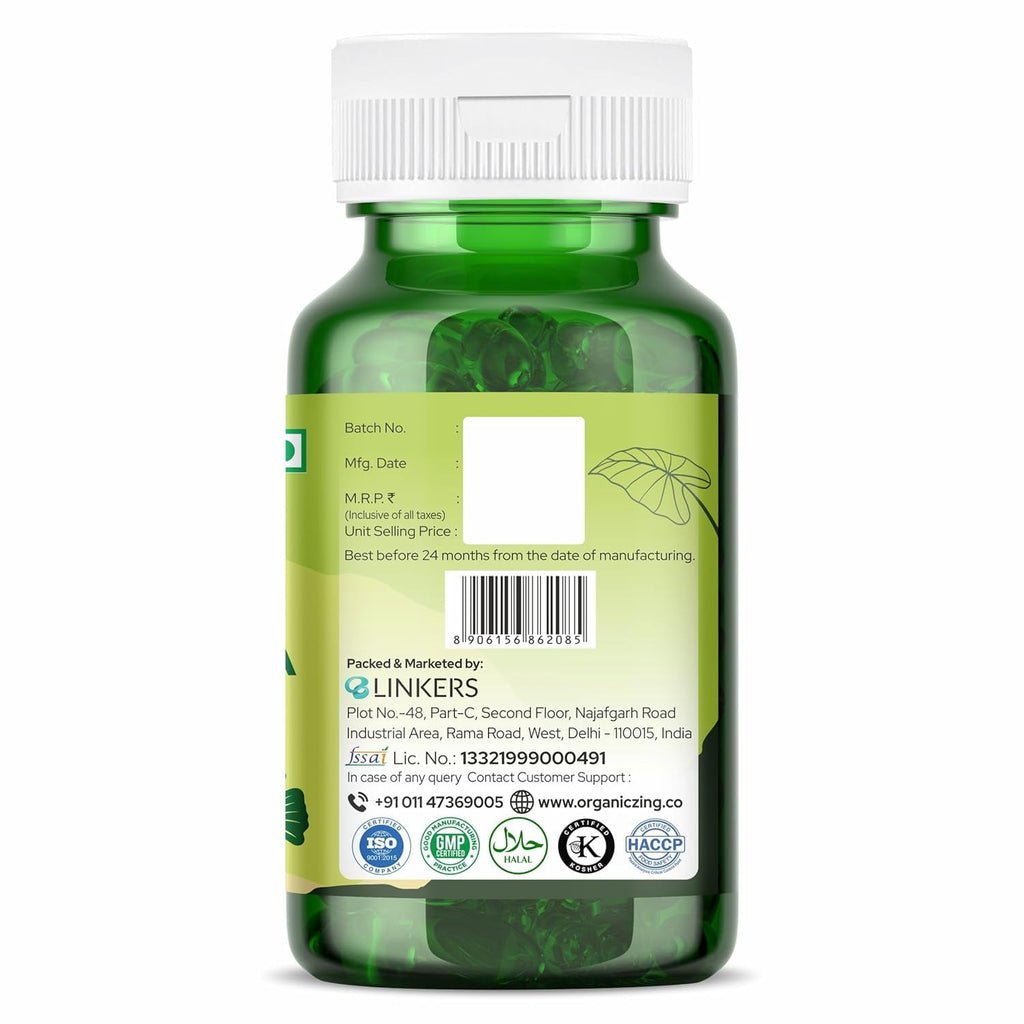 ginkgo biloba tablets for cognitive function
