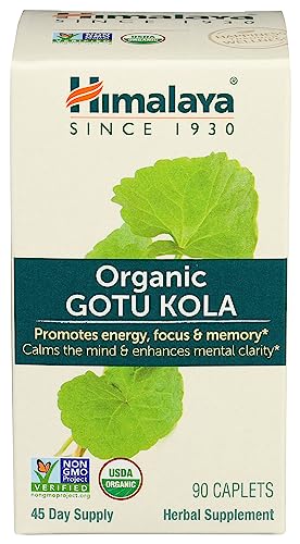 ginkgo biloba tablets for cognitive support
