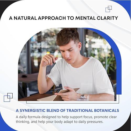 ginkgo biloba tablets for cognitive support