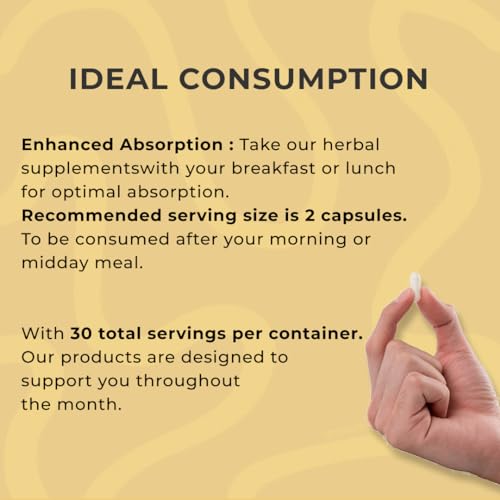 ginkgo biloba tablets for daily health