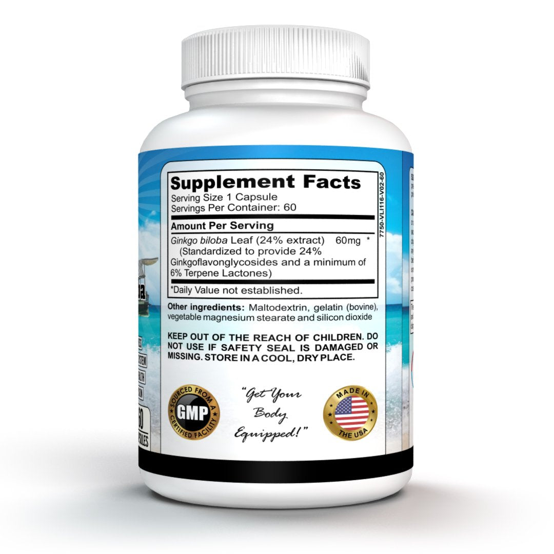 ginkgo biloba tablets for daily wellness