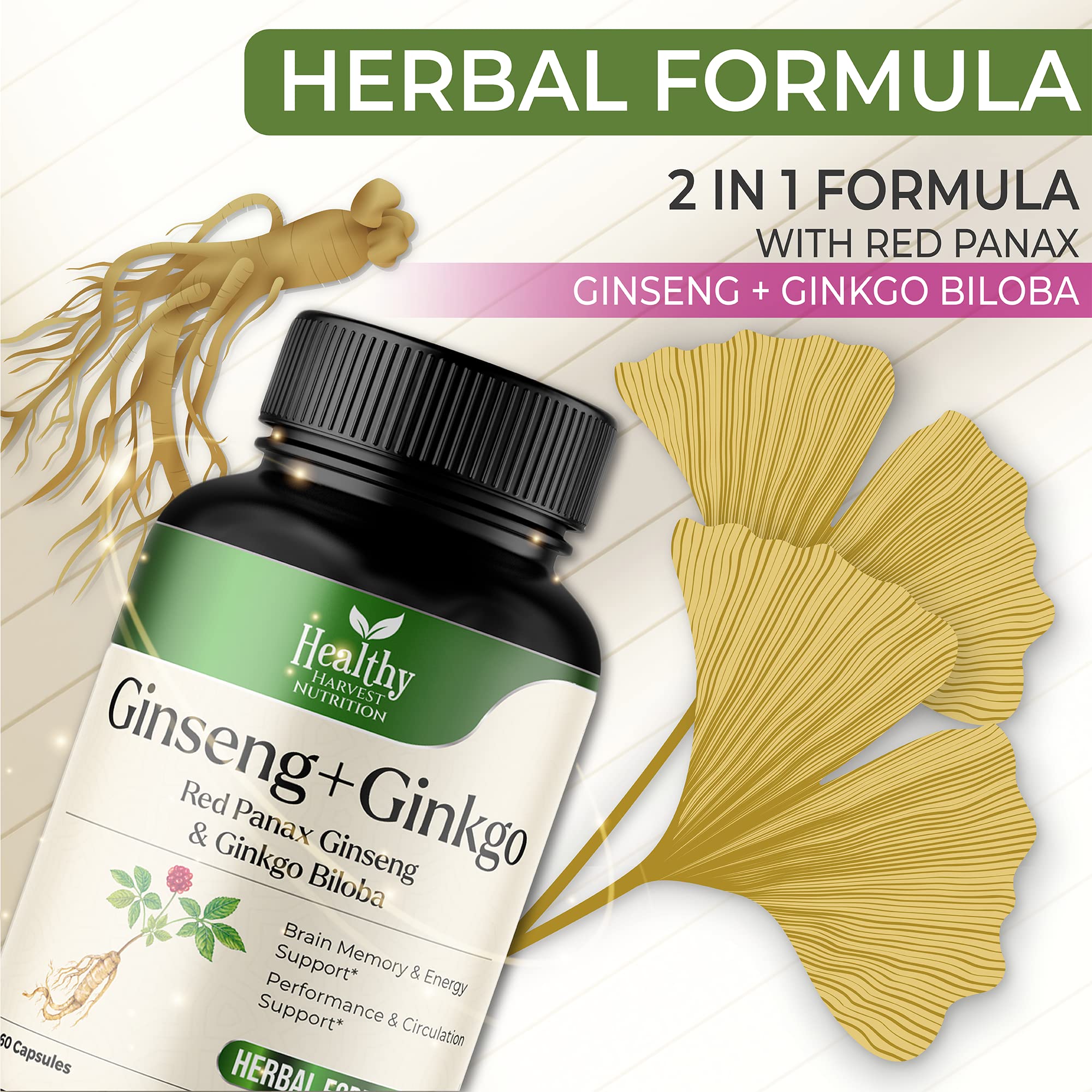 ginkgo biloba tablets for focus