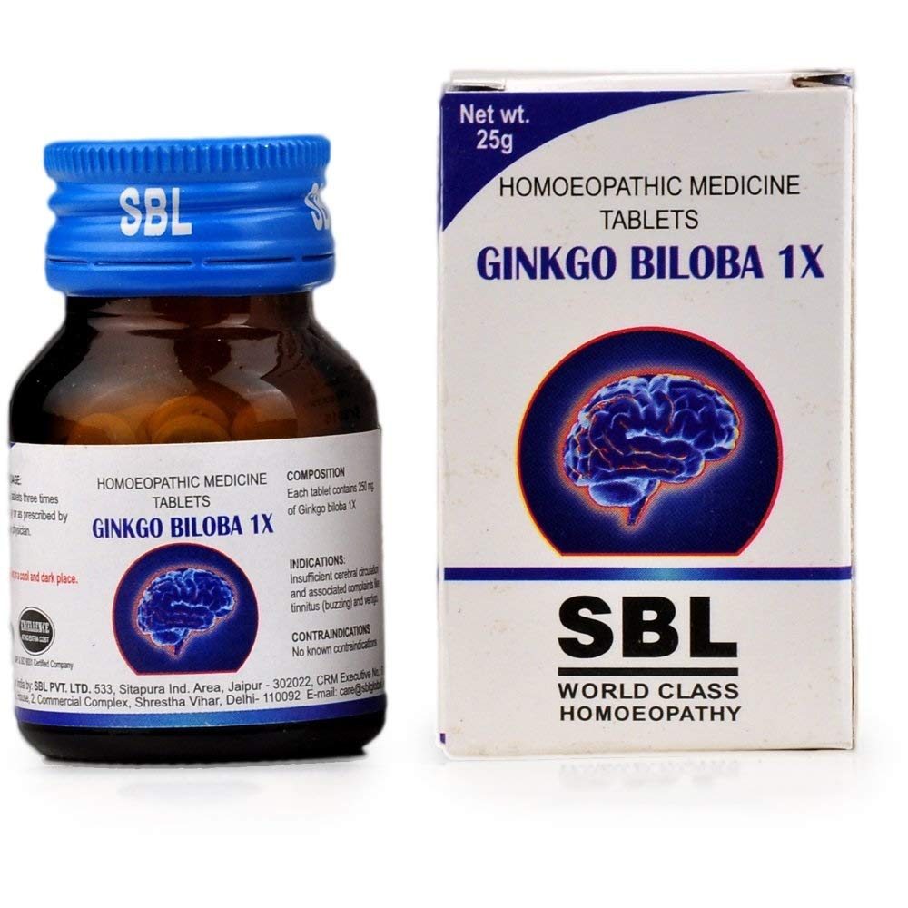 ginkgo biloba tablets for memory support