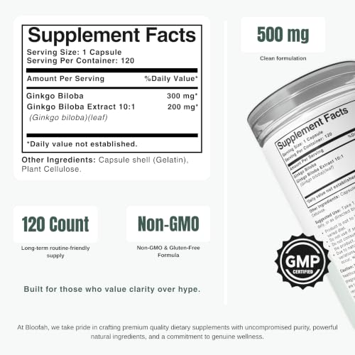 ginkgo biloba tablets for memory support