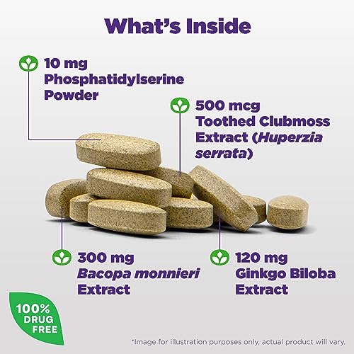 ginkgo biloba tablets for memory