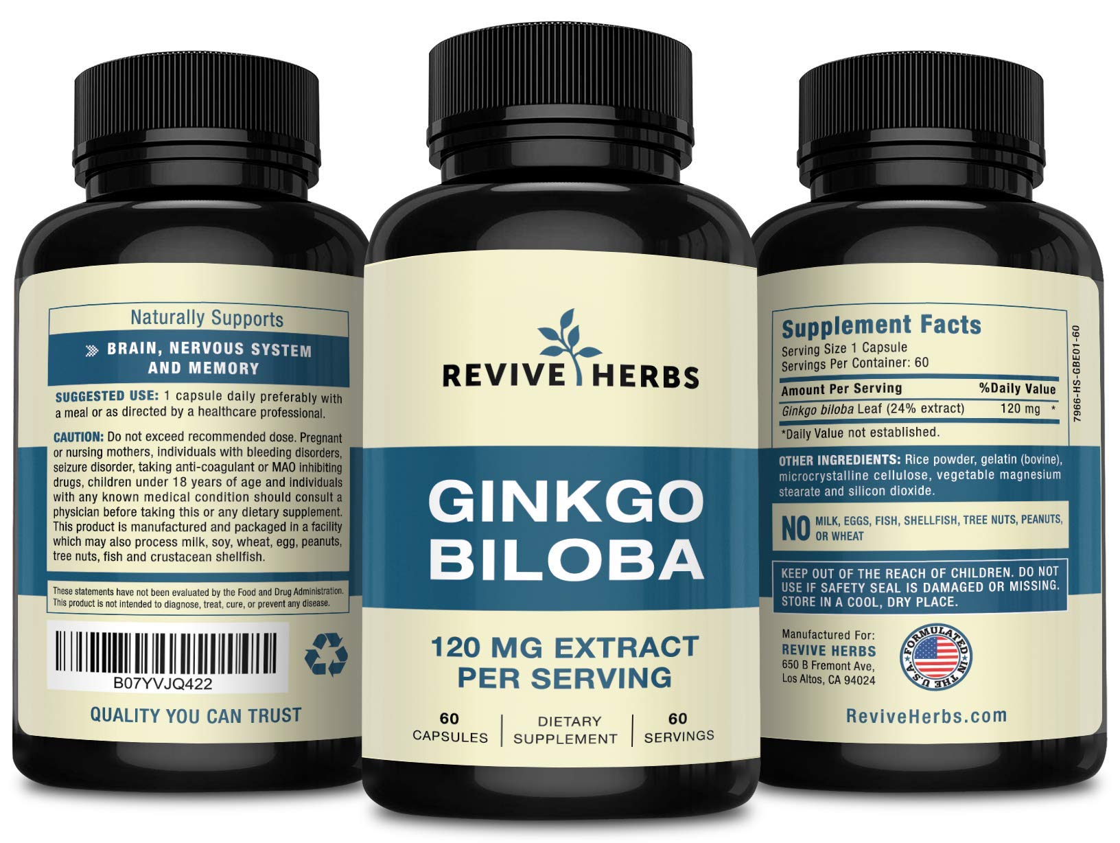 ginkgo biloba tablets for mental clarity